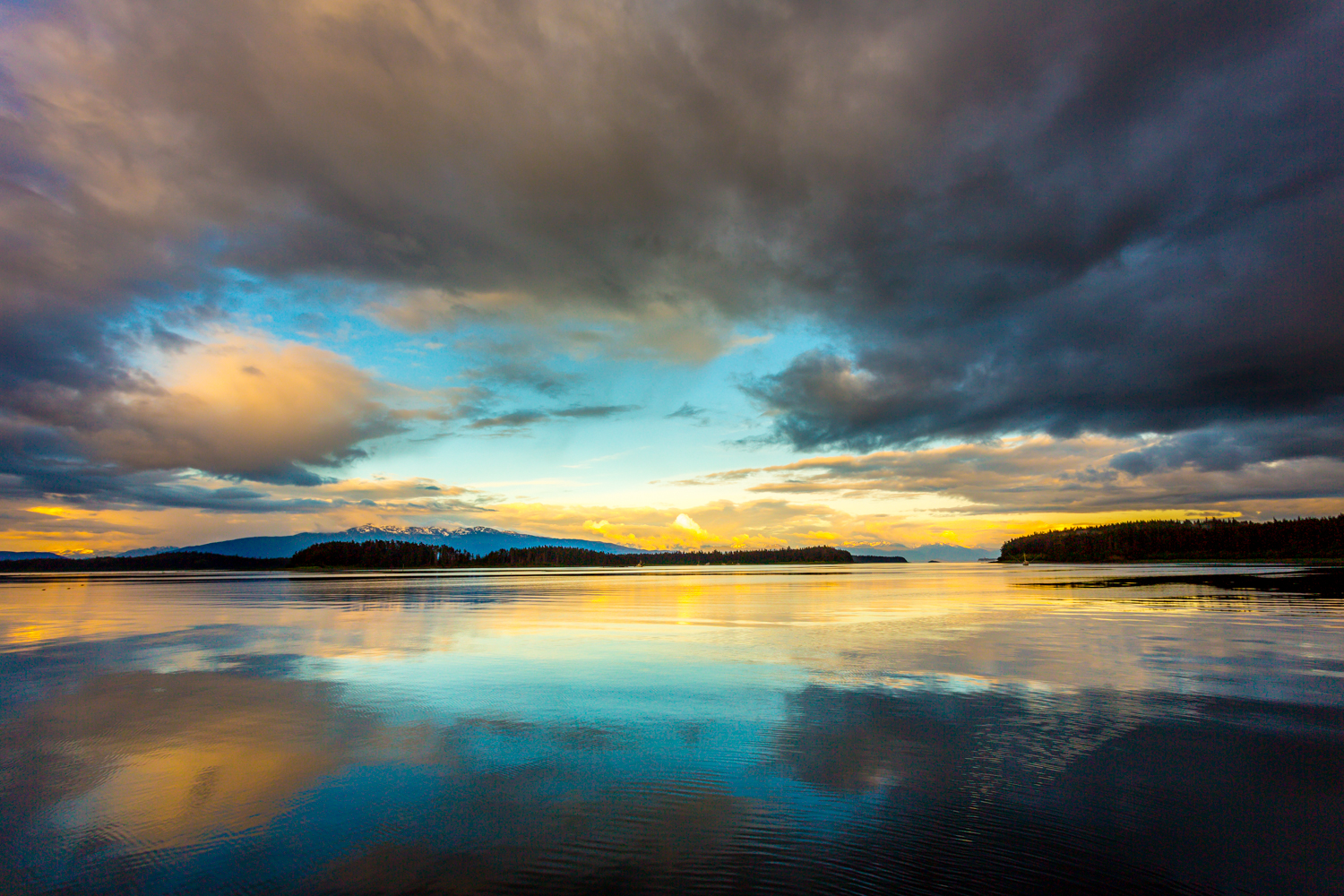 Landscape | Anthony Hayward